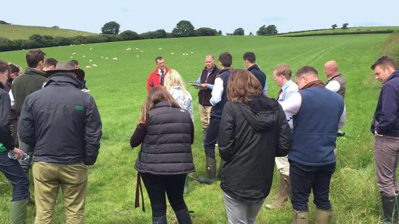 CAAV fellowship exam is like no other | Cooke & Arkwright